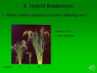 Lesson Presentation | PPT