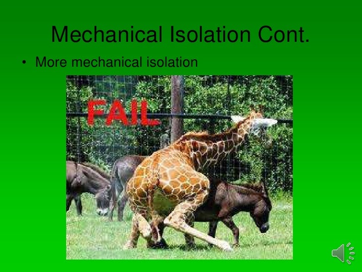 Lesson Presentation lesson-presentation