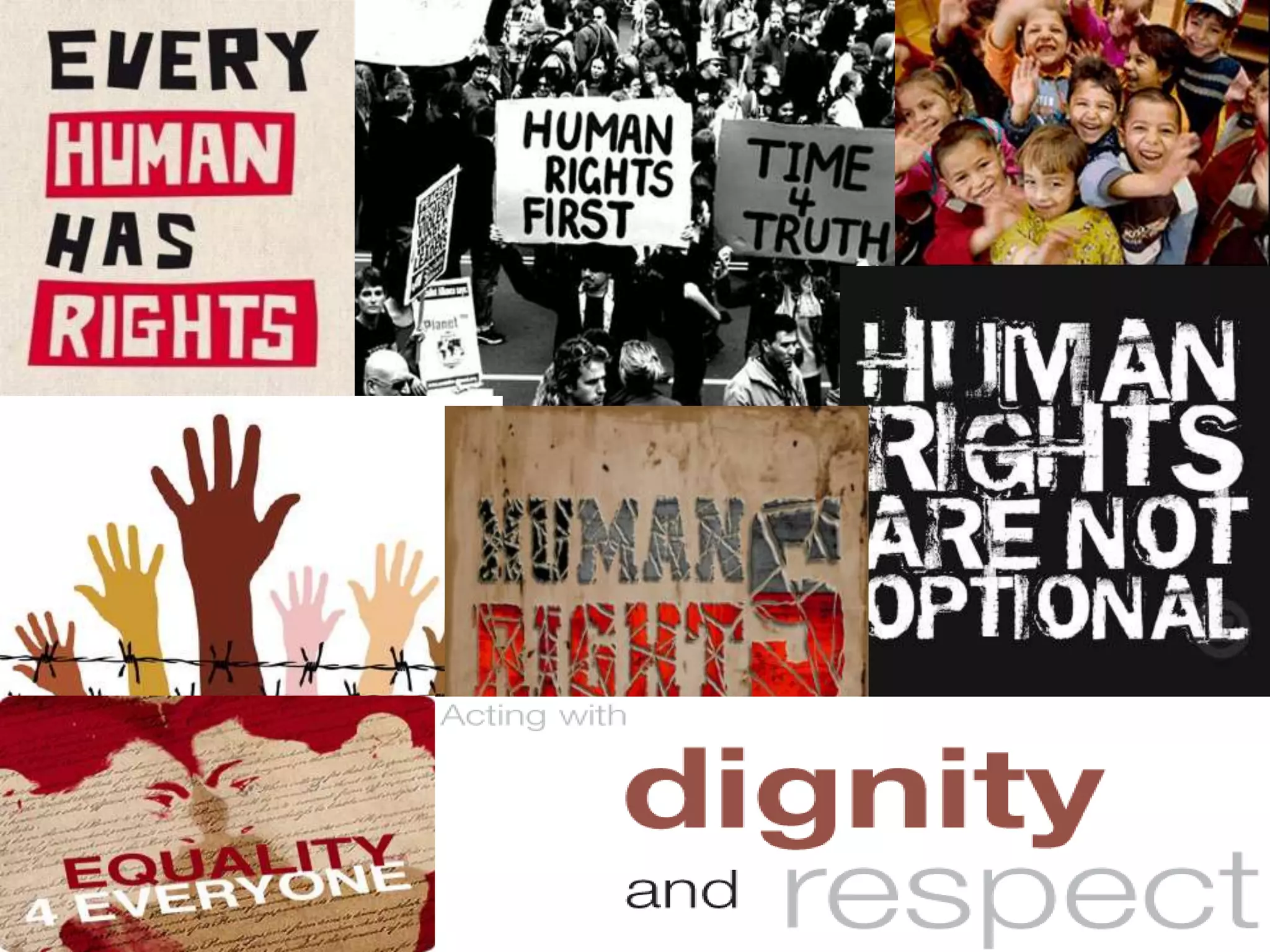 Constitutional Values | PPTX