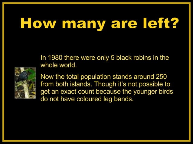 Black Robin-Inquiry | PPT | Zoos & Aquariums | Attractions