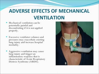 Presentation | PPT