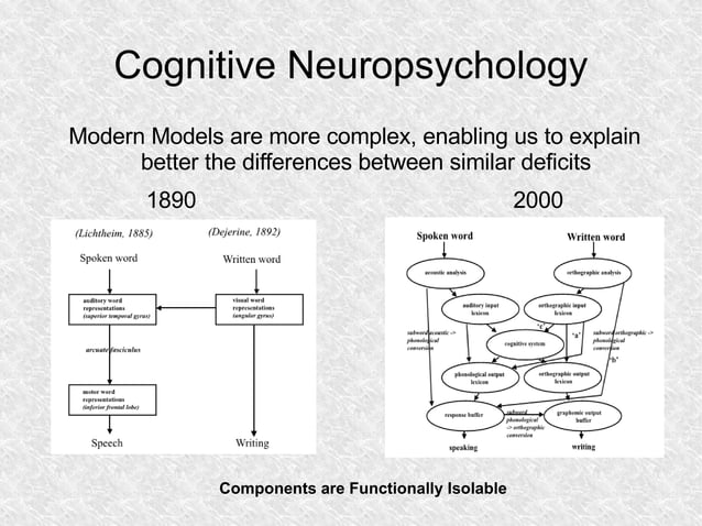 Cognitive Neuropsychology and Functional Brain Imaging: Implications ...