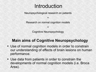 Cognitive Neuropsychology and Functional Brain Imaging: Implications ...