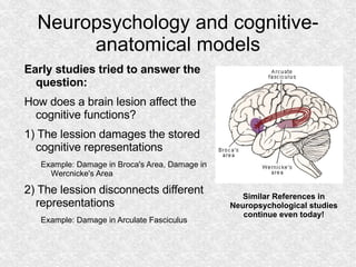 Cognitive Neuropsychology and Functional Brain Imaging: Implications for functional and ...