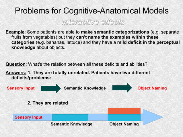 Cognitive Neuropsychology and Functional Brain Imaging: Implications ...
