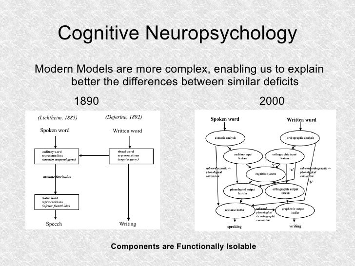 Cognitive Neuropsychology and Functional Brain Imaging: Implications