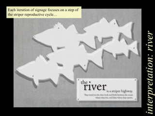 Narragansett Bay Aquarium Design | PPT