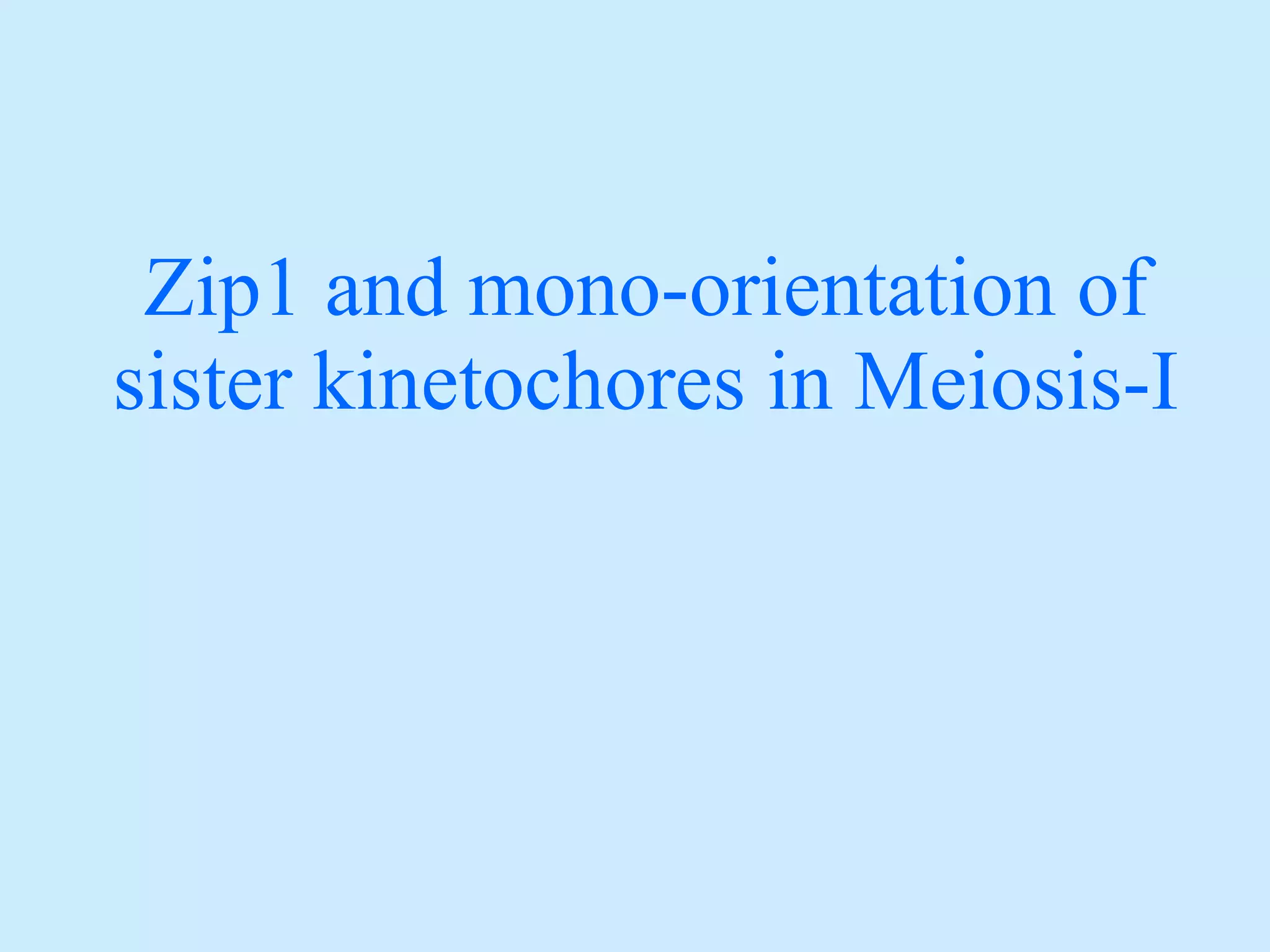Kinetochore and Zip1 | PPT