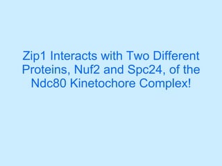 Kinetochore and Zip1 | PPT