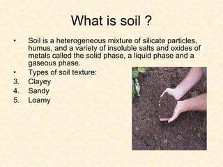 Chemical & Microbial analysis of farm & forest soil | PPT