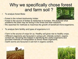Chemical & Microbial analysis of farm & forest soil | PPT
