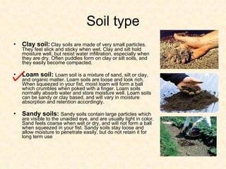Chemical & Microbial analysis of farm & forest soil | PPT
