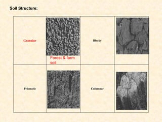 Chemical & Microbial analysis of farm & forest soil | PPT