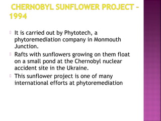 Chernobyl Disaster | PPT