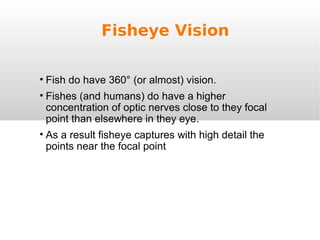 Fisheye State Routing (FSR) - Protocol Overview | PPT