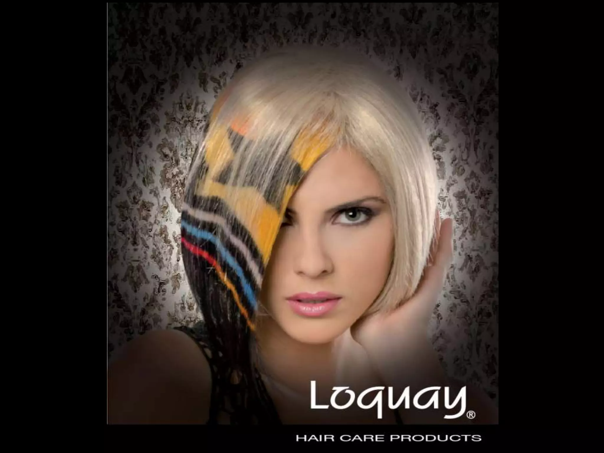 Presentation Loquay 2013 | PPTX