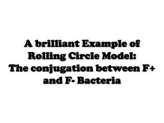 Rolling Circle Model of DNA Replication | PPTX