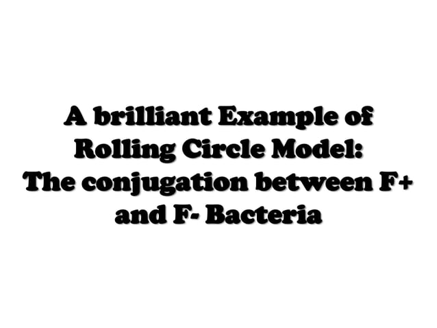 Rolling Circle Model of DNA Replication | PPT