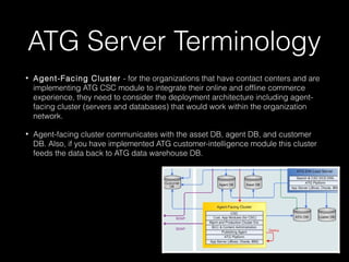 ATG - Common Terminologies | PPT