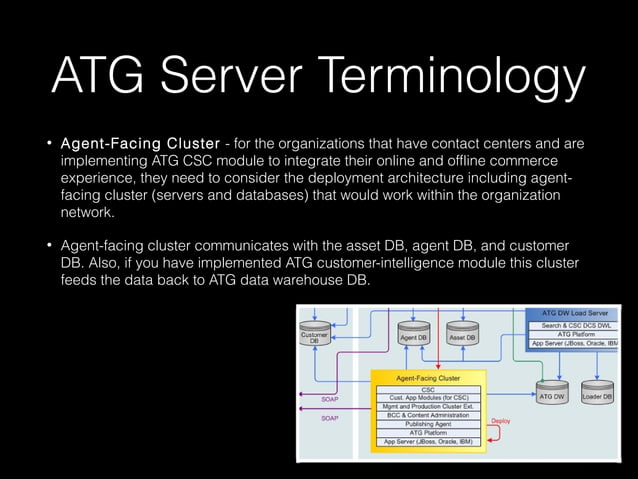 ATG - Common Terminologies | PPT