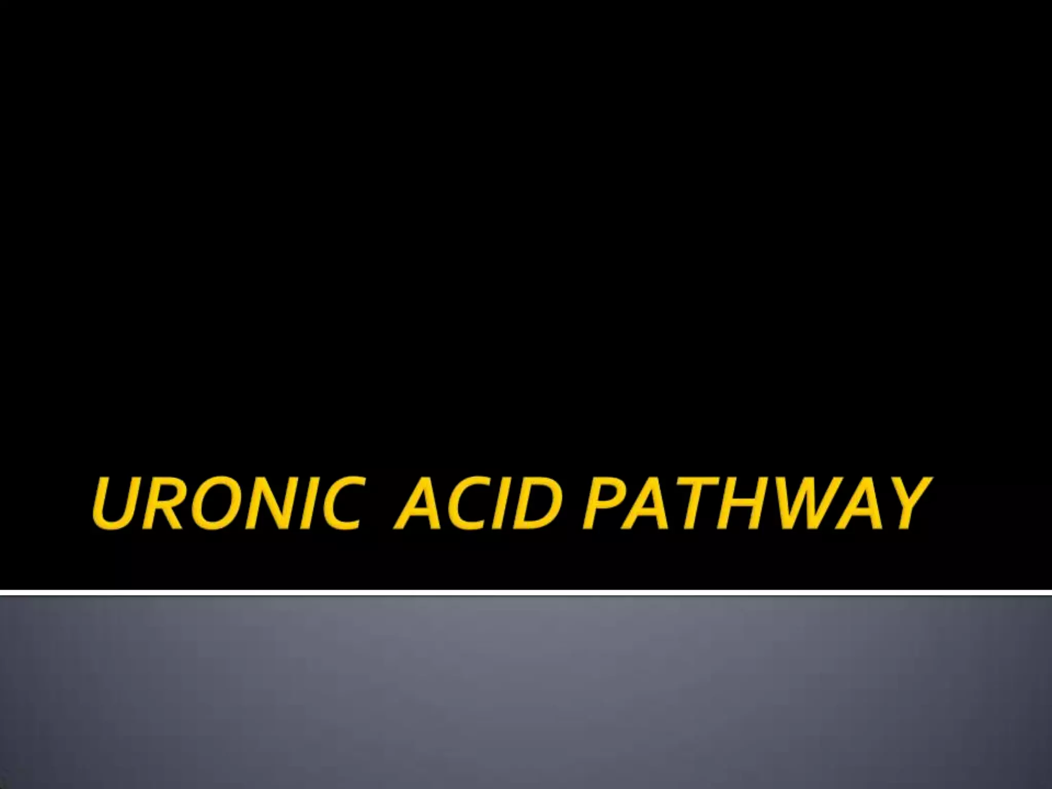Uronic acid pathway | PPTX