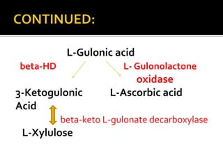 Uronic acid pathway | PPT