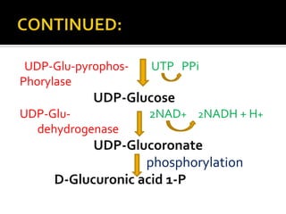 Uronic acid pathway | PPT