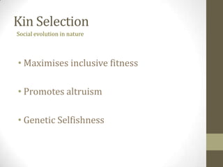 Is Racism Genetic? | PPTX