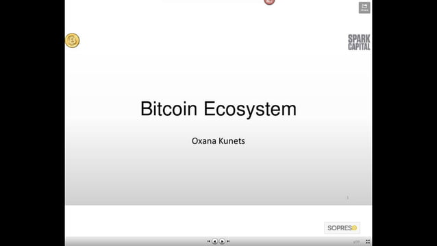 Bitcoin Market Summary - Spark Capital - Produced by Oxana Kunets | PDF