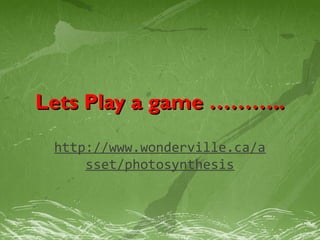 Developing Understanding of the Photosynthesis through ICT tool | PPT