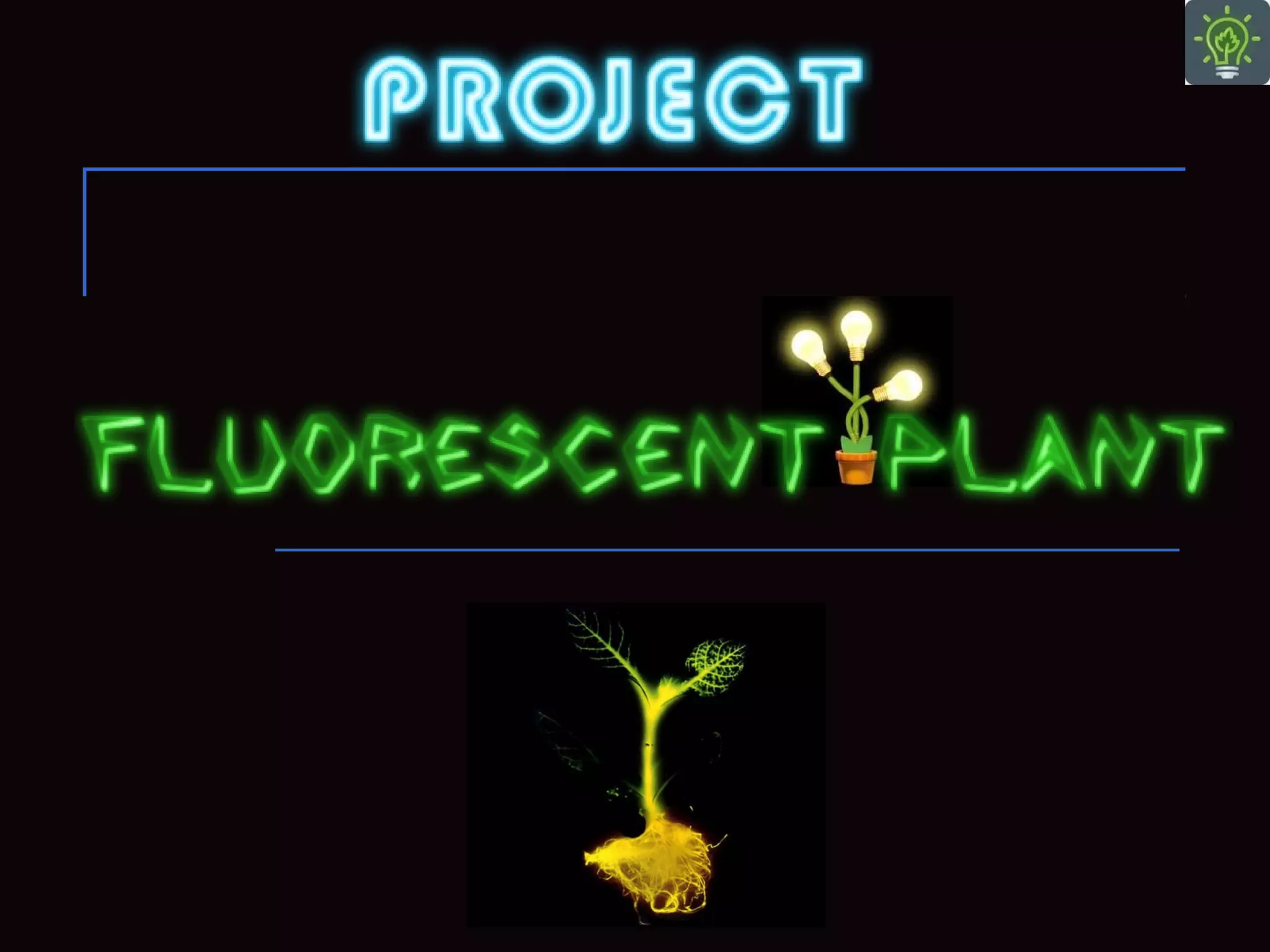 Fluorescent Plant | PPT