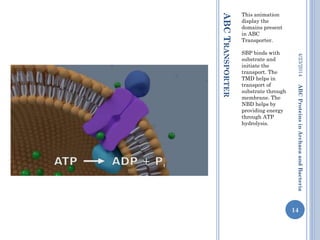 ABC Proteins Statistical Analysis | PPT