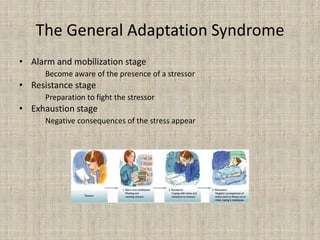 strees, coping and well being in perspective of psychology | PPT