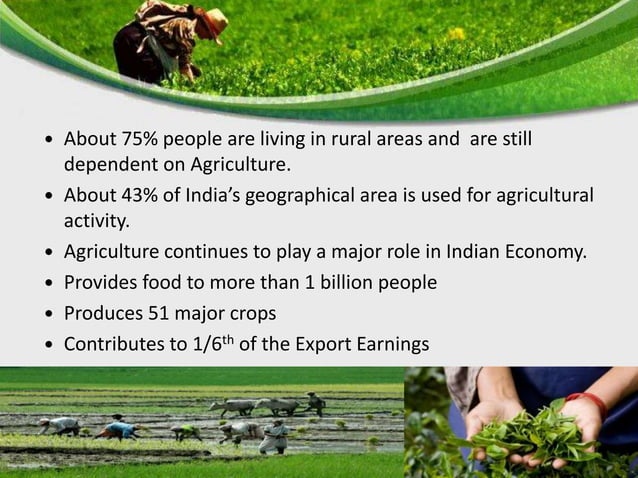 Agriculture in India | PPTX | Agriculture | Industries