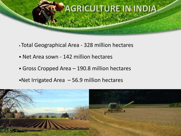 Agriculture in India | PPTX | Agriculture | Industries