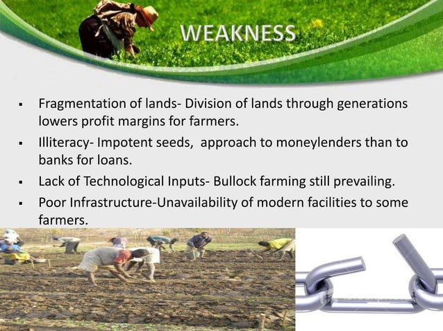 Agriculture in India | PPTX | Agriculture | Industries