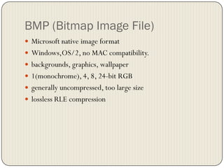 Commonly Used Image File Formats | PDF