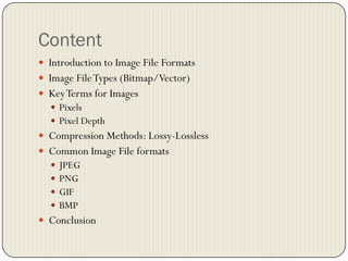 Commonly Used Image File Formats | PDF