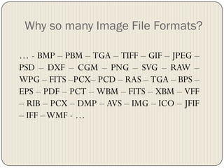 Commonly Used Image File Formats | PDF
