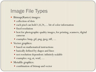 Commonly Used Image File Formats | PDF