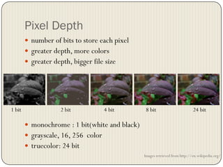 Commonly Used Image File Formats | PDF