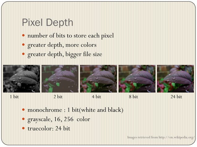 Commonly Used Image File Formats | PPT