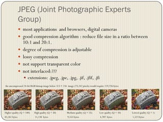 Commonly Used Image File Formats | PDF