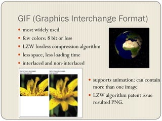 Commonly Used Image File Formats | PDF