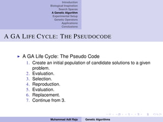 Genetic Algorithms | PDF