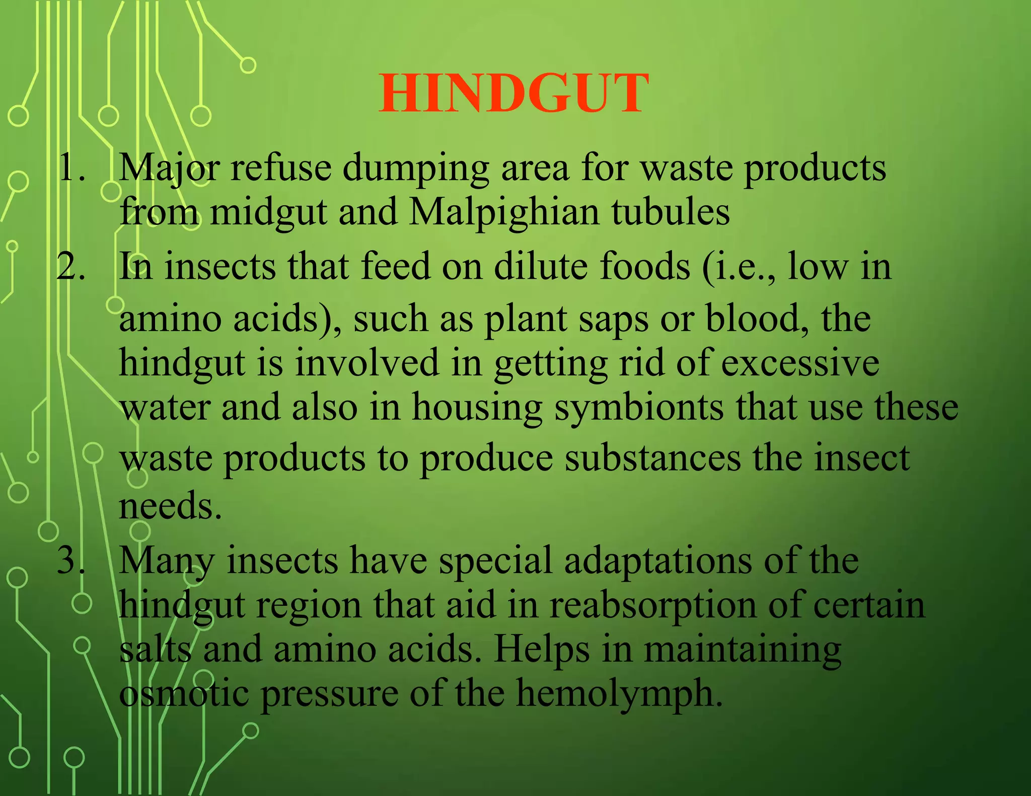 insects digestive system | PPTX | Digestive Disorders | Diseases and ...