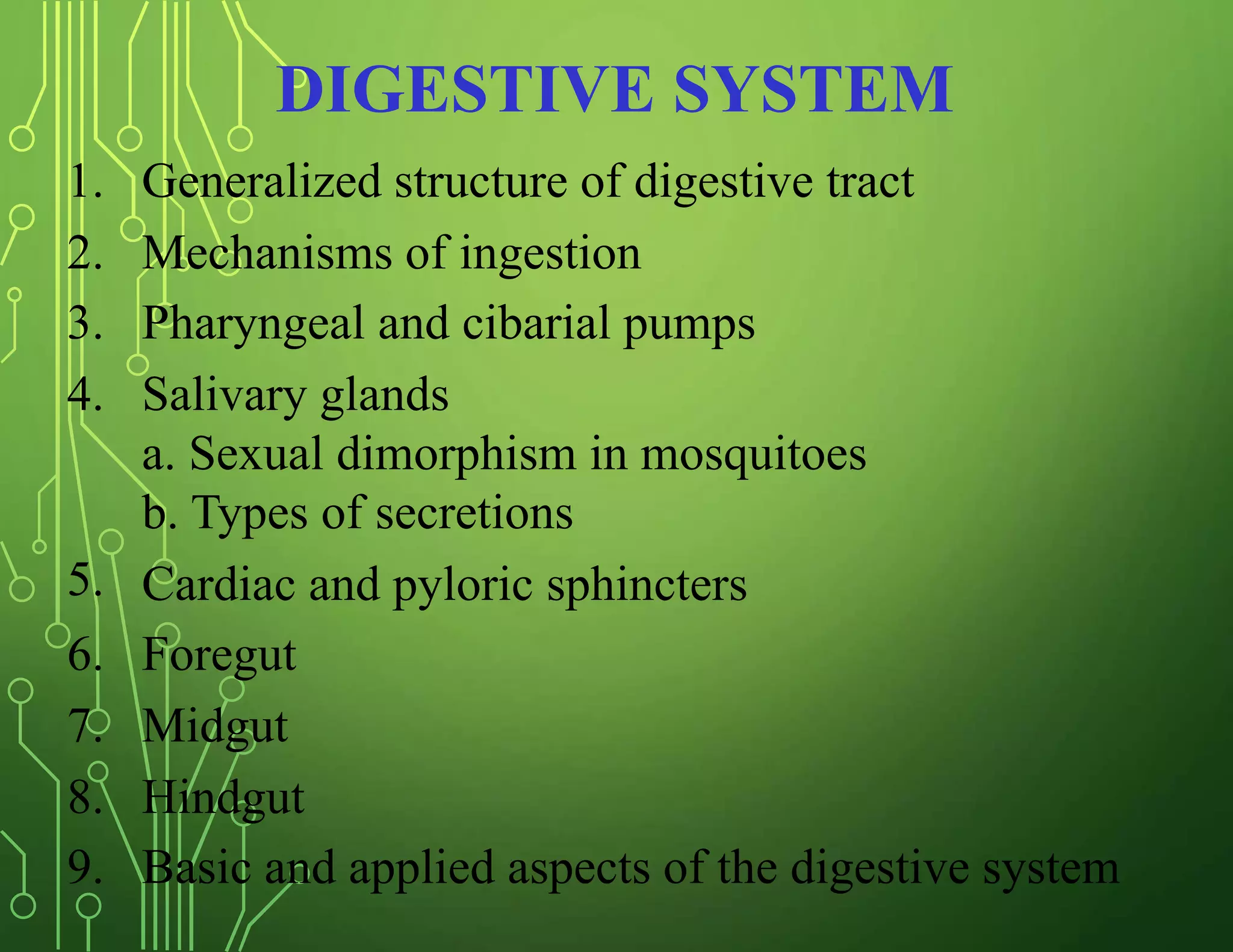 insects digestive system | PPTX