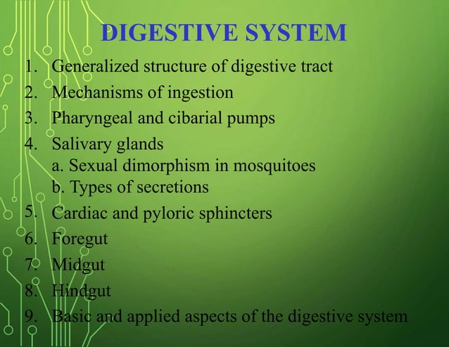 insects digestive system | PPTX | Digestive Disorders | Diseases and ...