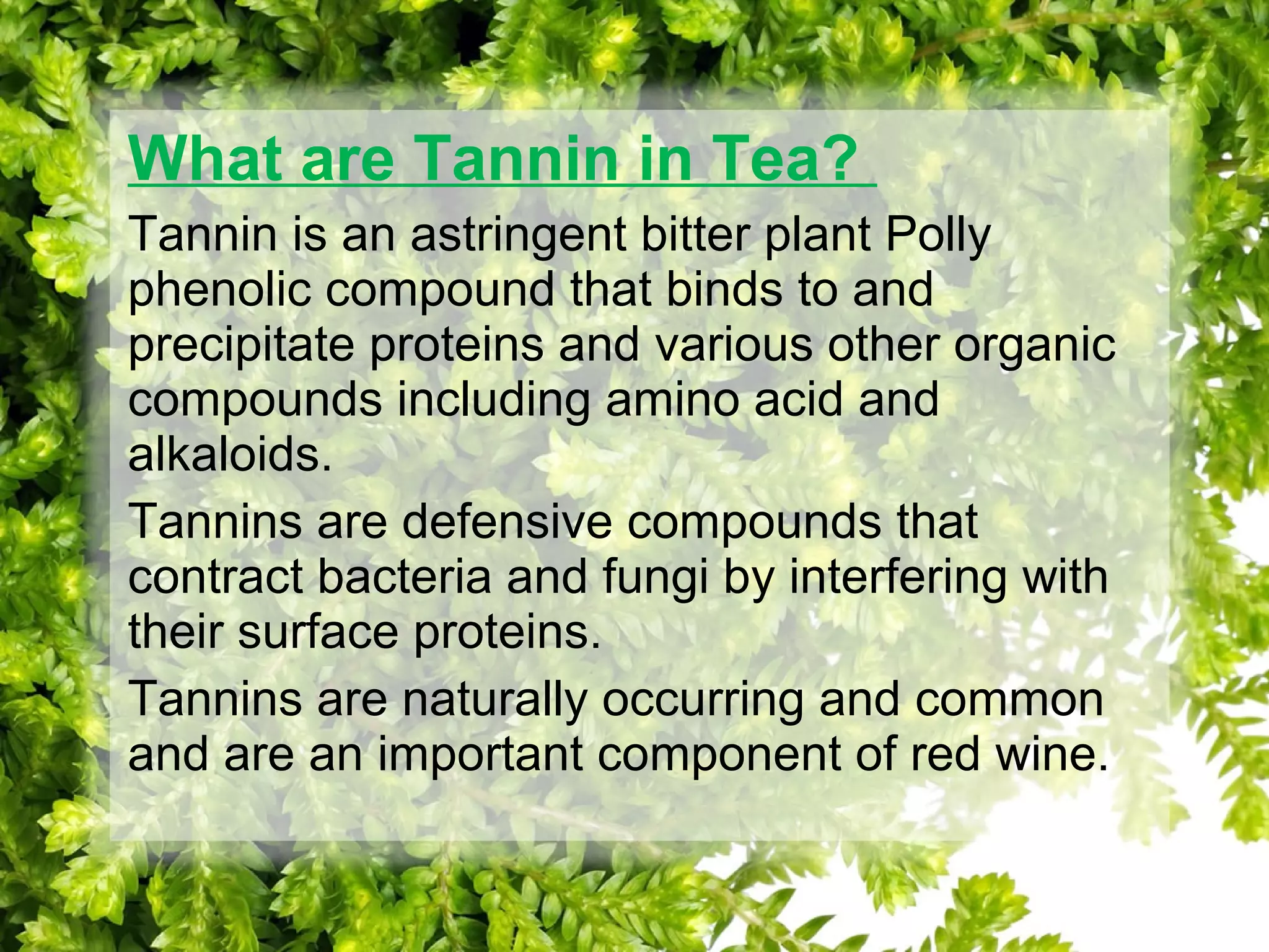 Tannin in Tea | PPT