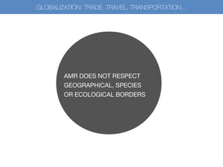 Antimicrobial Resistance (AMR): A global and Multisectoral issue of ...